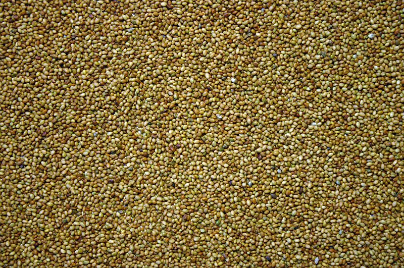 Herbe-book, le portail de référence des semences fourragères